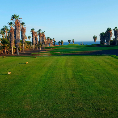 Golf del Sur – TenerifeHD GALLERY - Golf del Sur - Tenerife
