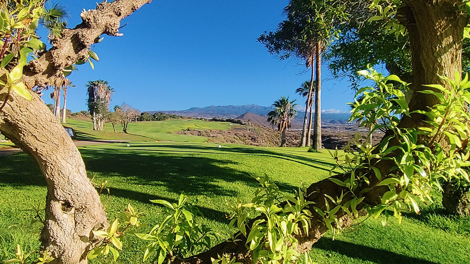 Golf del Sur – TenerifeGALERIA HD - Golf del Sur - Tenerife